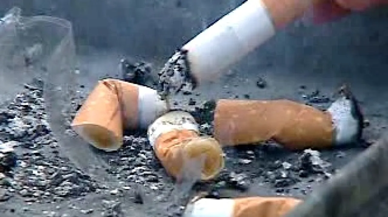 Sněmovna odložila kvůli Julínkovi debatu o zákazu kouření i poplatcích u lékaře — ČT24 — Česká ...