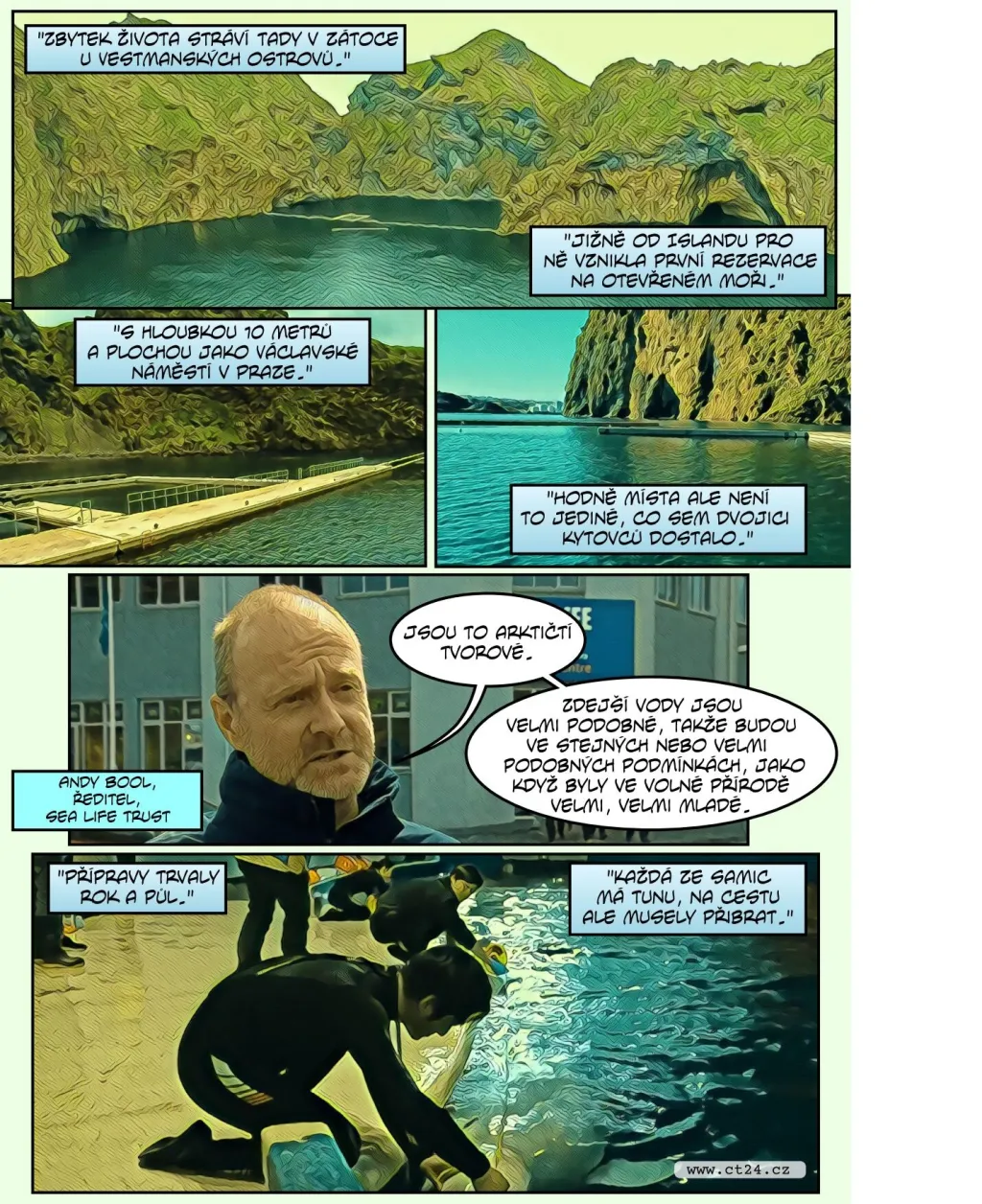Bílé velryby z čínského zábavního parku se vrátily do volné přírody na ...