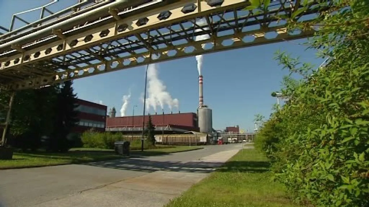 Biocel Paskov je trnem v oku lidem z okolí — ČT24 — Česká televize