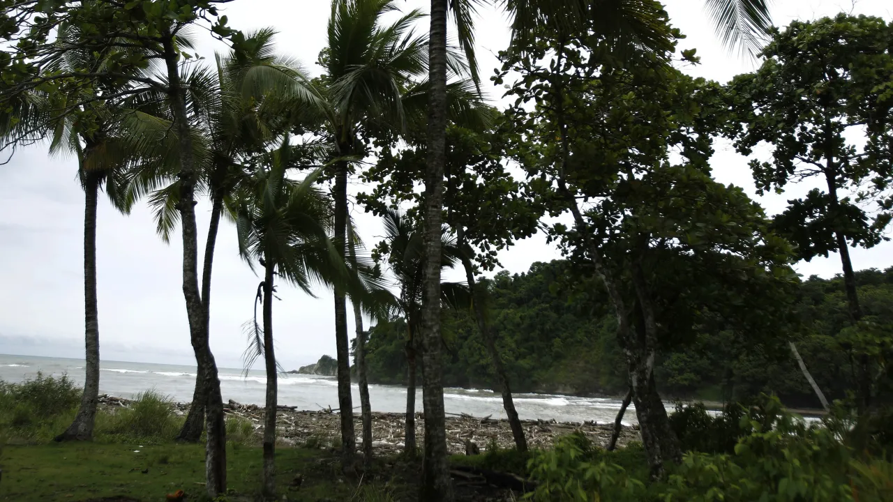 Kostarické pozemky spojené s Budinským z kauzy Motol zkoumali Reportéři ČT — ČT24 — Česká televize