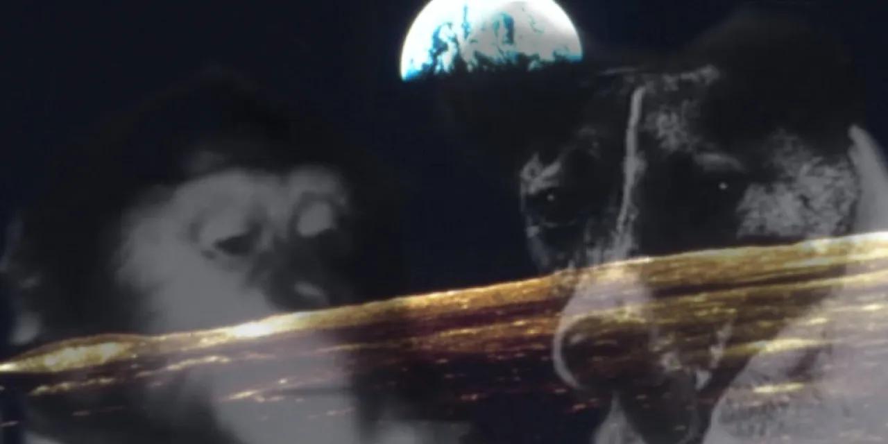 Astronautem proti své vůli: Chundelatí hrdinové dobývají vesmír — ČT24 ...