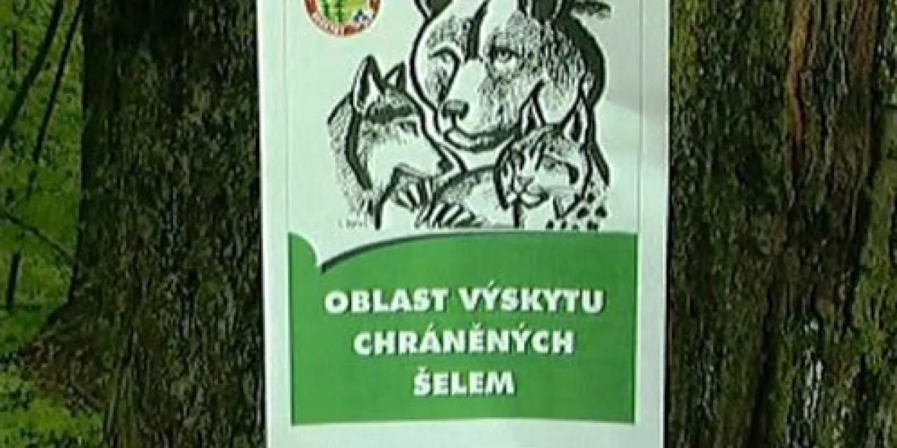 Lidé v Beskydech se učí žít s šelmami — ČT24 — Česká televize