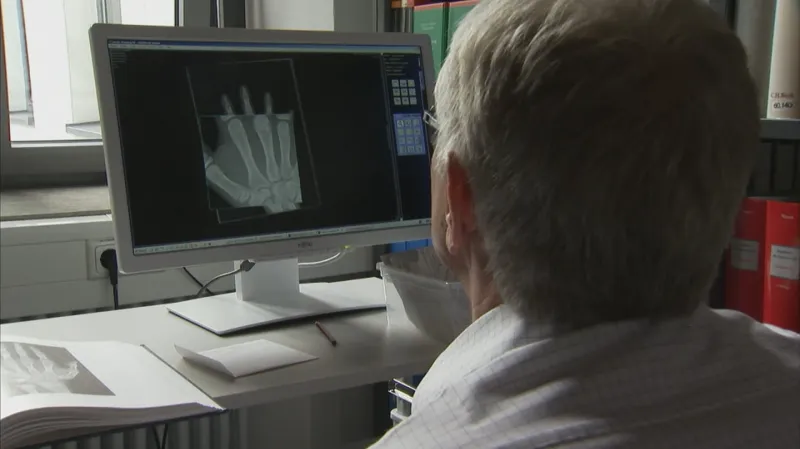 V Evropě se začíná mluvit o povinných testech, které by odhalily ...