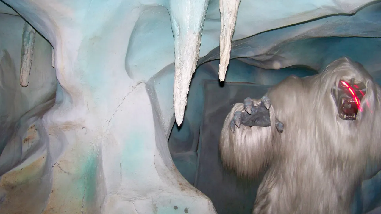 Yetti neexistuje. Vědci v laboratořích zkoumali údajné stopy a důkazy ...