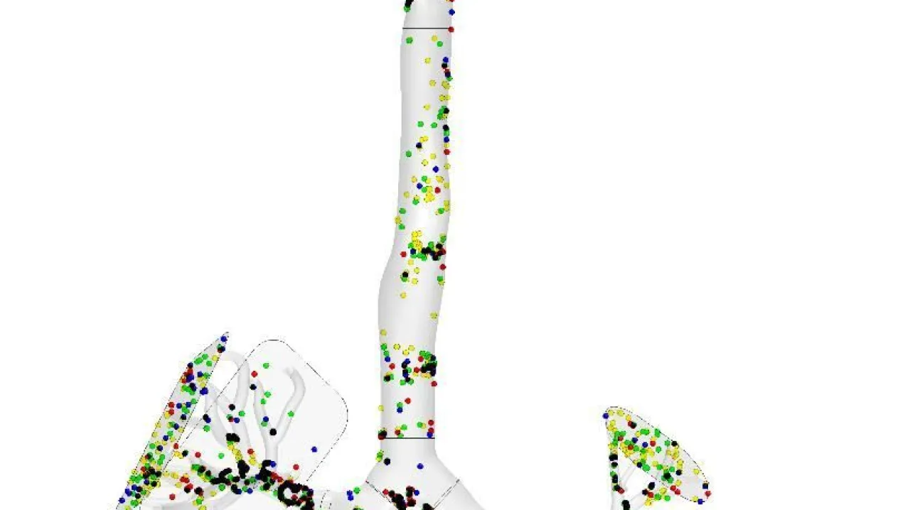 Vědci v Brně vytvořili realistický model plic, poslouží při testování ...