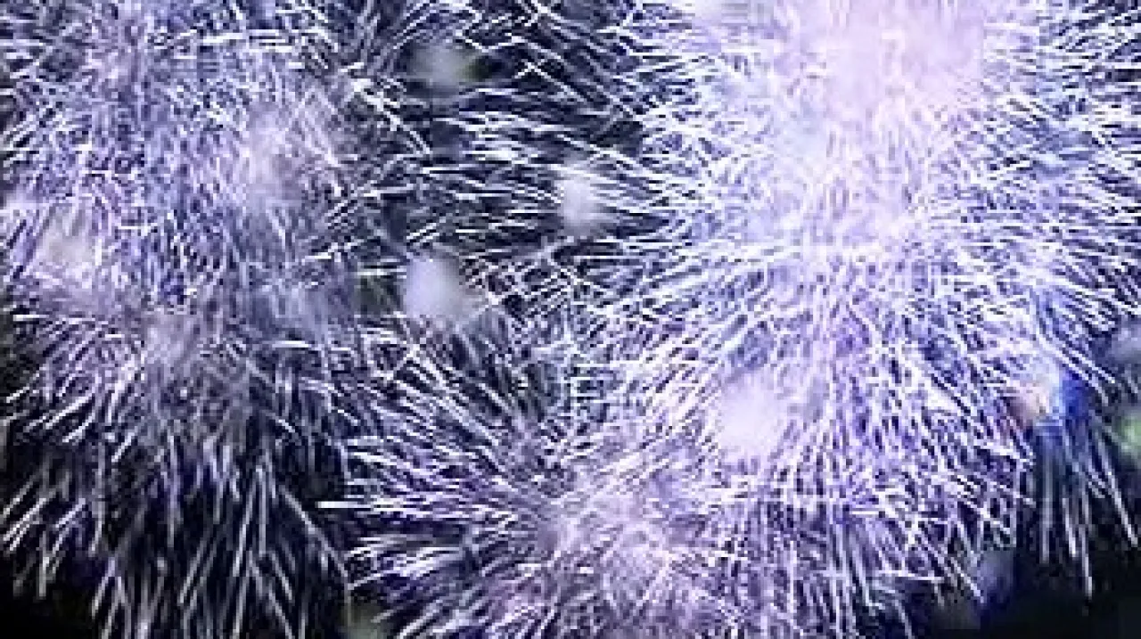 Lidé se mohou s koncem roku těšit na ohňostroje, ne však všude — ČT24 ...