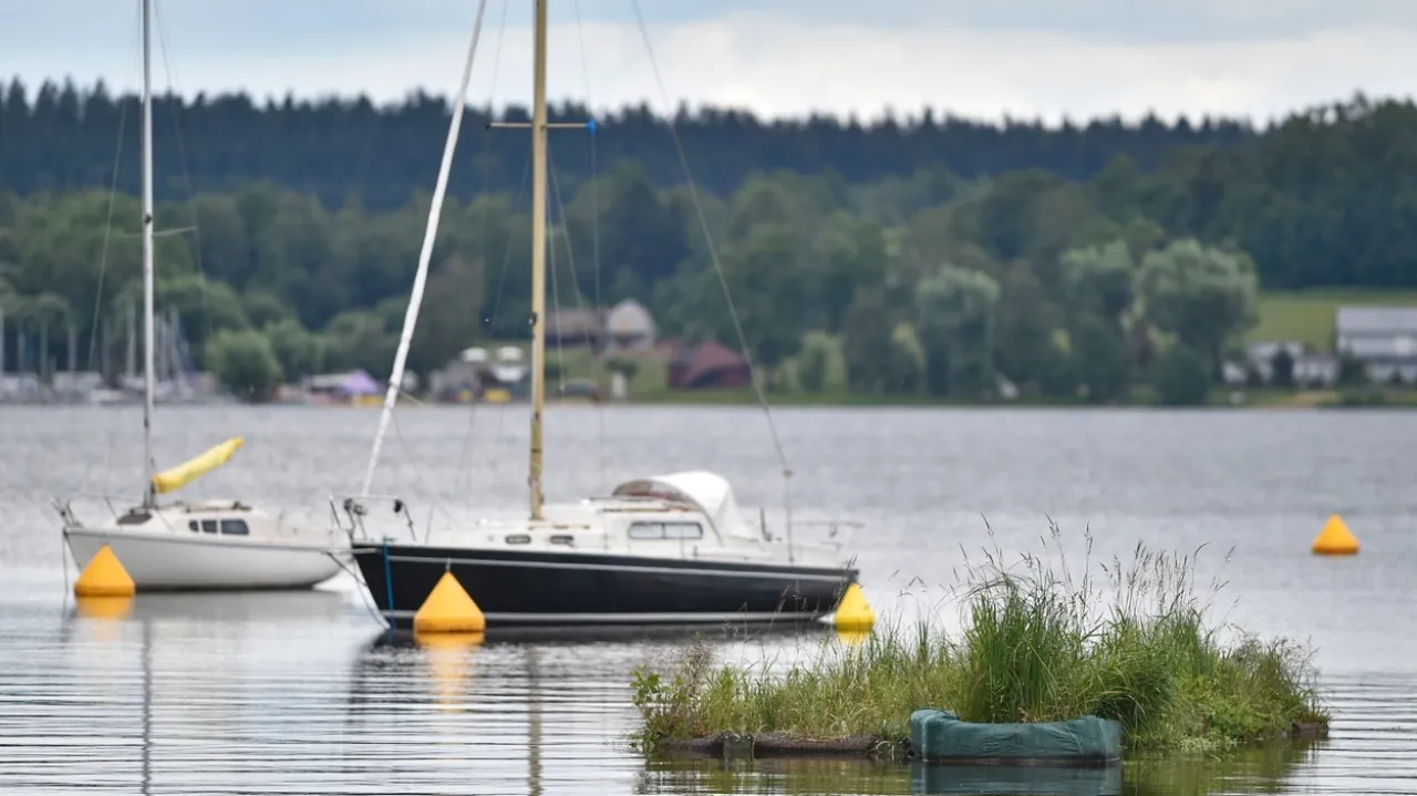 Čeští vědci vytvořili systém plovoucích ostrovů. Hnízdí na nich racci ...