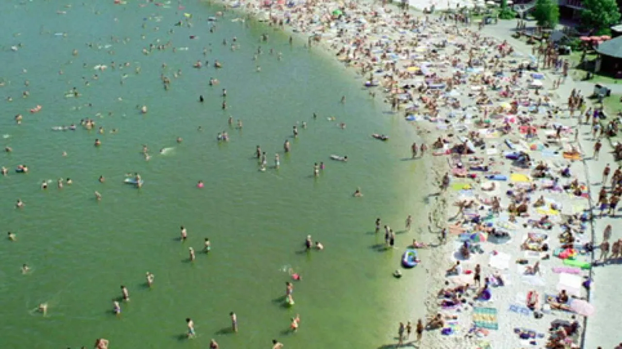 Kvalitu vody v Máchově jezeře zhoršily sinice — ČT24 — Česká televize