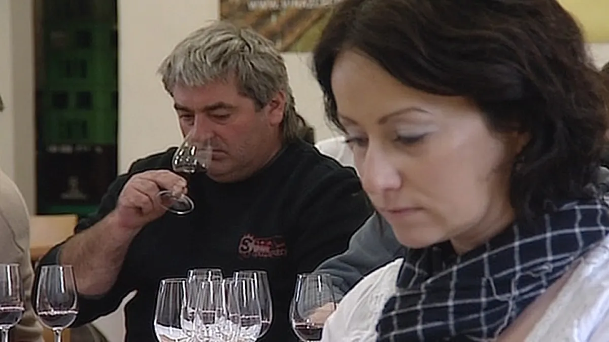 Degustátorem vína se díky kurzům může stát kdokoli — ČT24 — Česká televize Degustátorem vína se díky kurzům může stát kdokoli — ČT24 — Česká televize