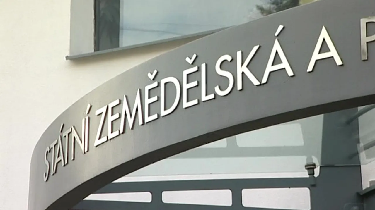 Inspekce na razii: libo-li plesnivý medovník? — ČT24 — Česká televize