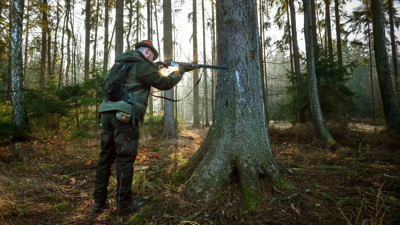 Hajný je lesa pán. Za vstup do honitby během zákazu by hrozila pokuta ...
