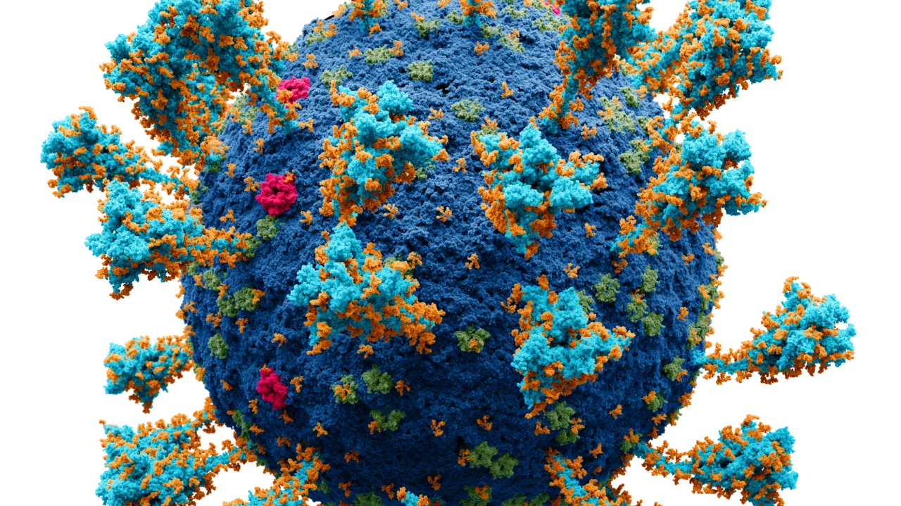 Moderna má novou mRNA vakcínu proti covidu. Má být lepší ve všech ...