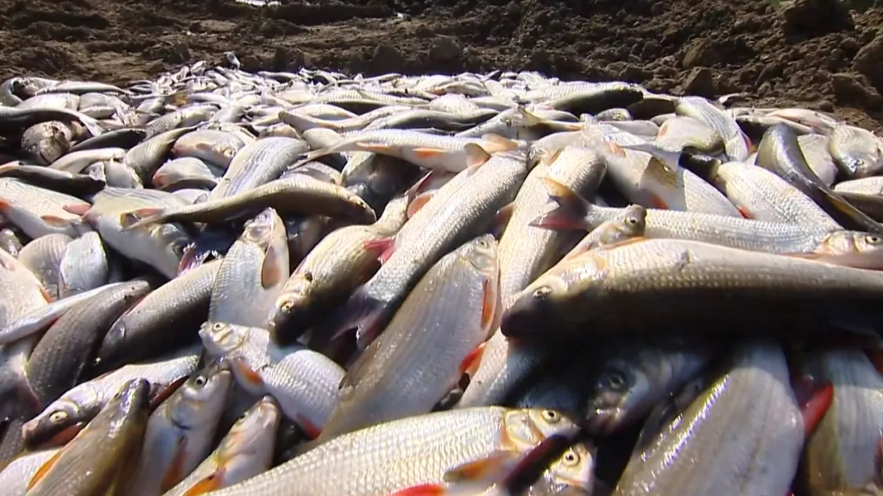 Soud skončil dokazování v kauze otravy Bečvy. Rozsudek by mohl padnout za měsíc — ČT24 — Česká ...