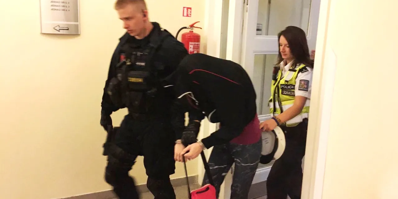 Žena dostala 17 let vězení. Po utajeném porodu smrtelně zranila dítě a ...