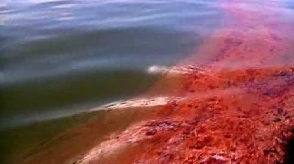 Na Egypt útočí ropné skvrny, na co mají nárok turisté? — ČT24 — Česká ...