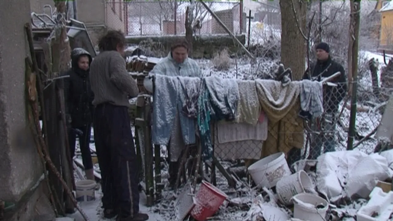 Habrůvku inspiroval ke zpřísnění vyhlášky místní „sběratel“ — ČT24 ...