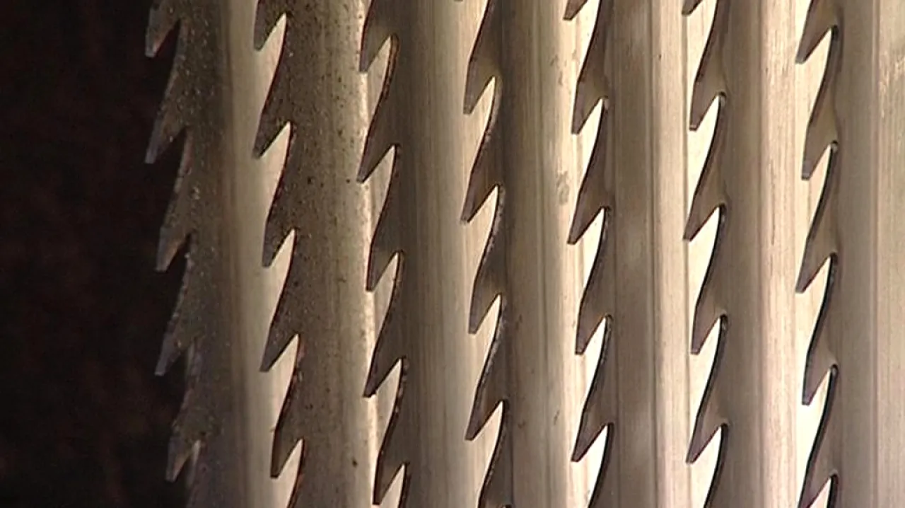 Nová pravidla Lesů ČR likvidují malé pily — ČT24 — Česká televize