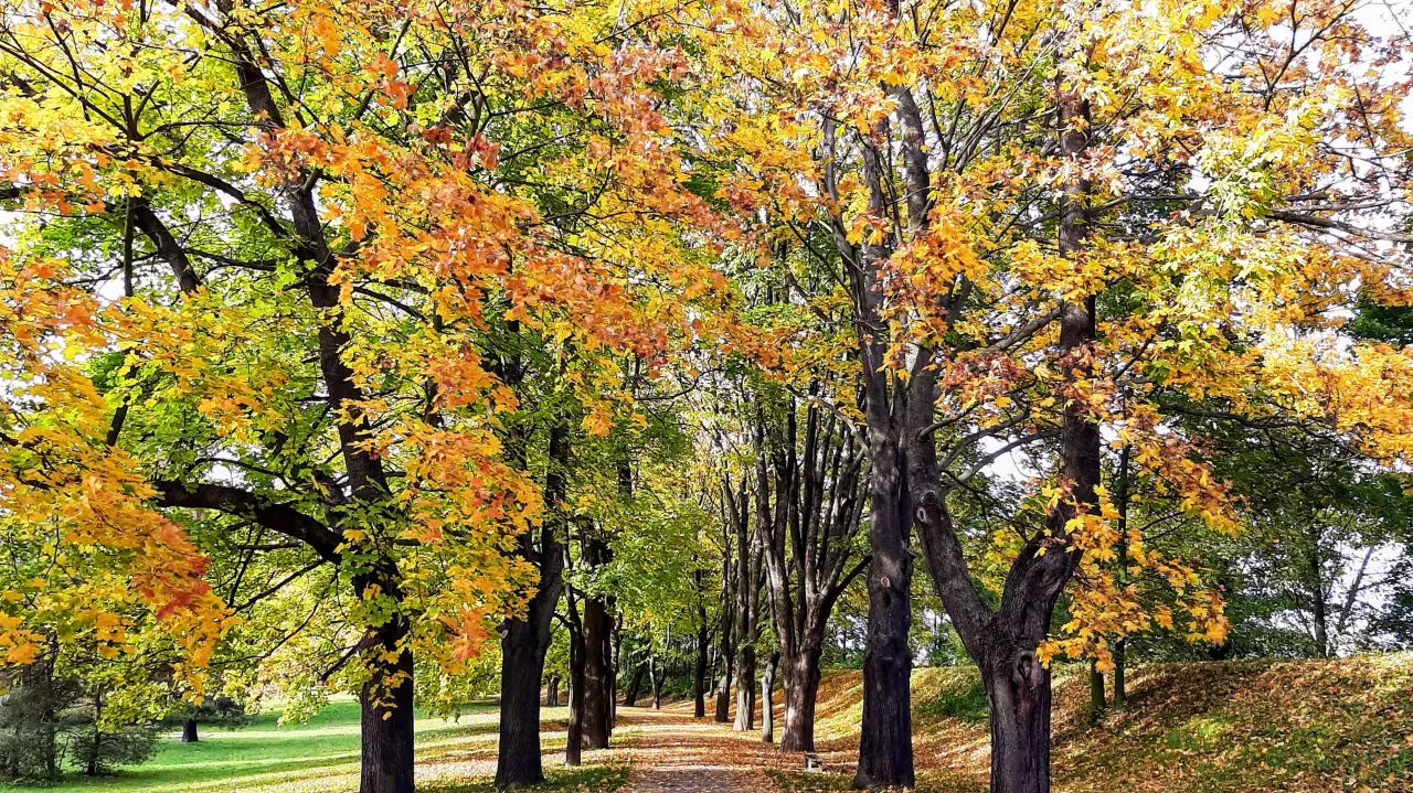 V pátek padly teplotní rekordy na polovině stanic. Na Znojemsku bylo 27 ...