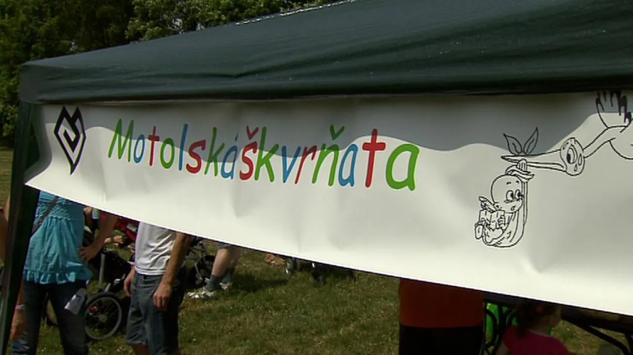 Pražský park Ladronka přívítal další „nedonošený piknik“ — ČT24 — Česká ...