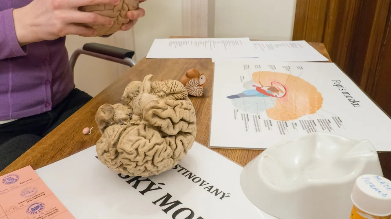 Jak se zbavit fobií nebo se adaptovat, zjistí veřejnost během Týdne ...