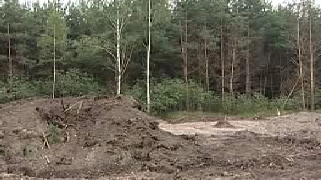 Vážky mají svůj ráj Na Plachtě u Hradce Králové — ČT24 — Česká televize