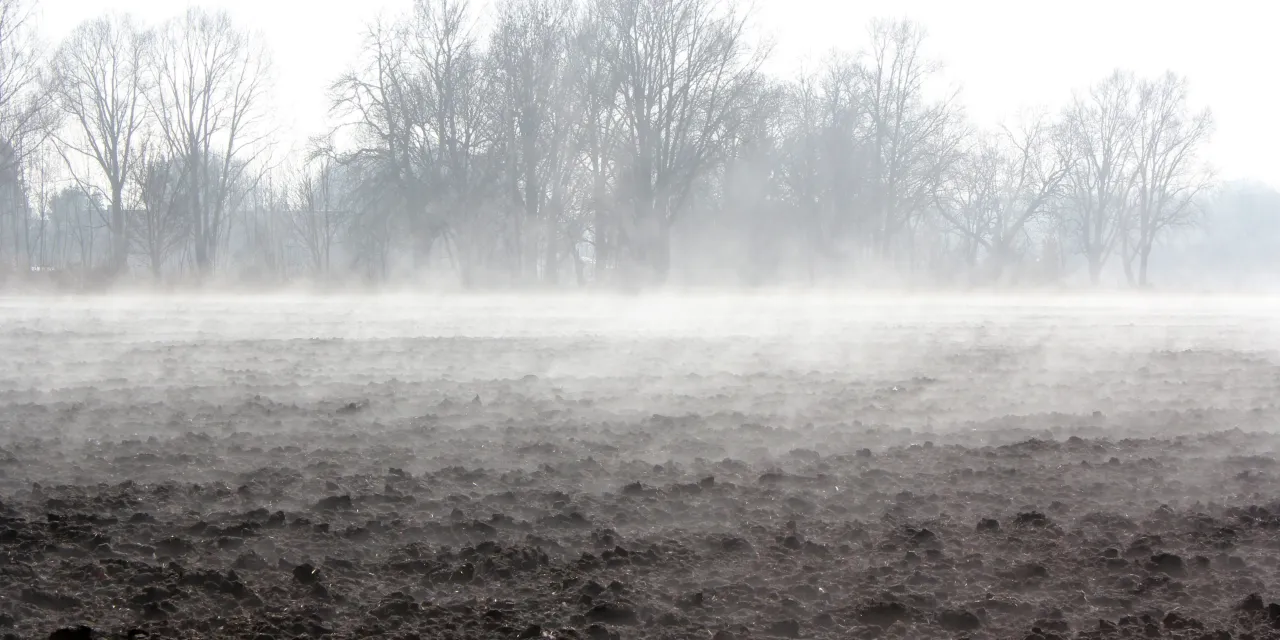 Příští týden bude sychravo, pak se mírně oteplí. V půlce listopadu opět ...