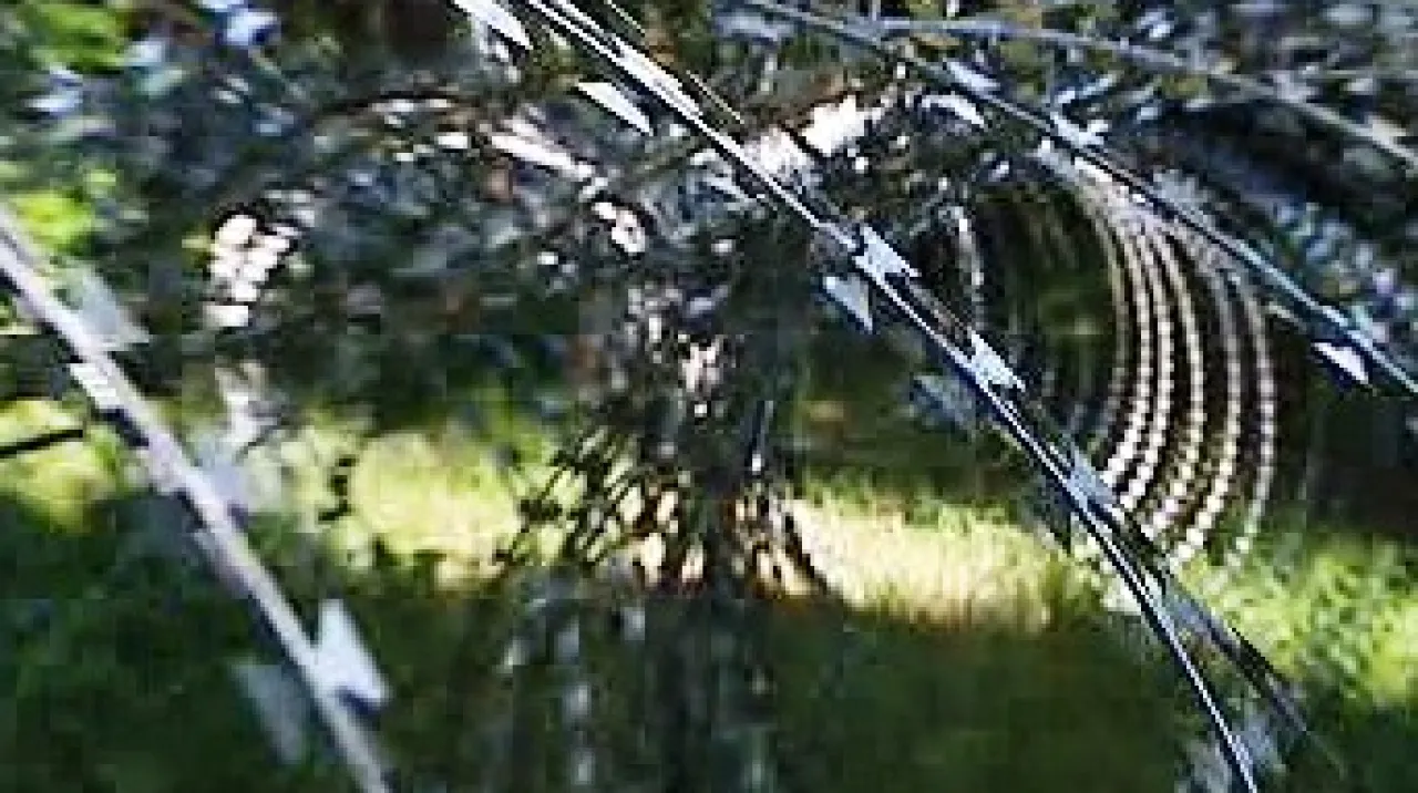 Plot kolem kóty, kde má stát radar, zabíjí zvířata — ČT24 — Česká televize