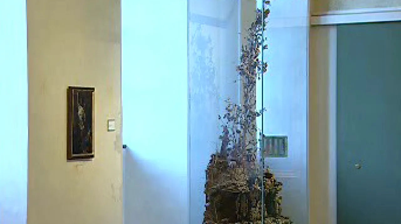 Já jsem pravý vinný kmen — ČT24 — Česká televize