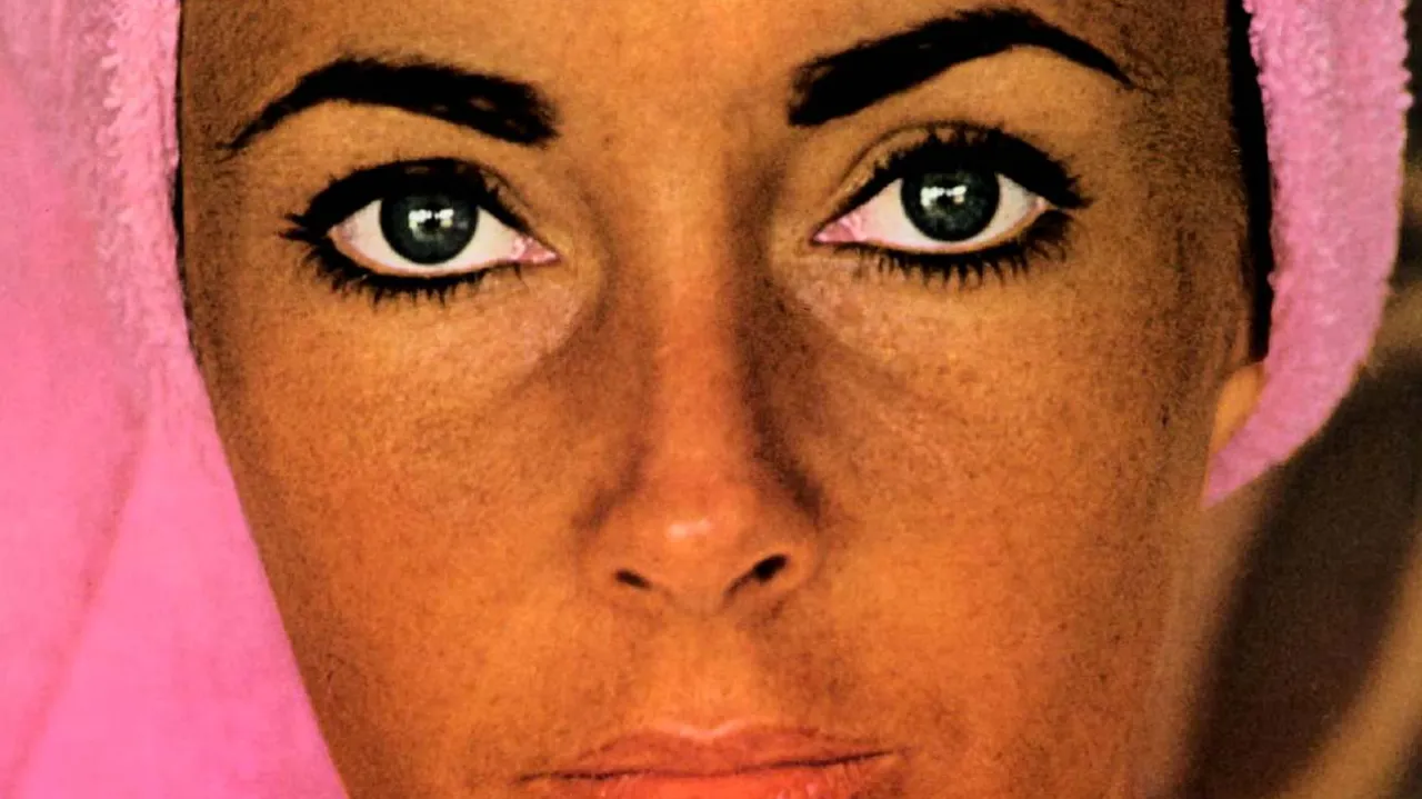 Kleopatra kvůli problémům se srdcem v nemocnici — ČT24 — Česká televize