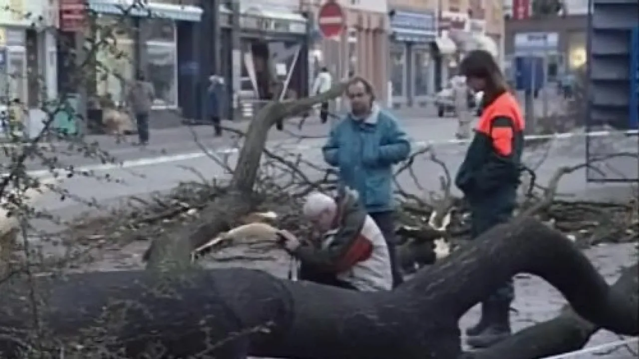 Třináct expertů se shodlo: tragédii spadlého stromu ve Zlíně se dalo ...