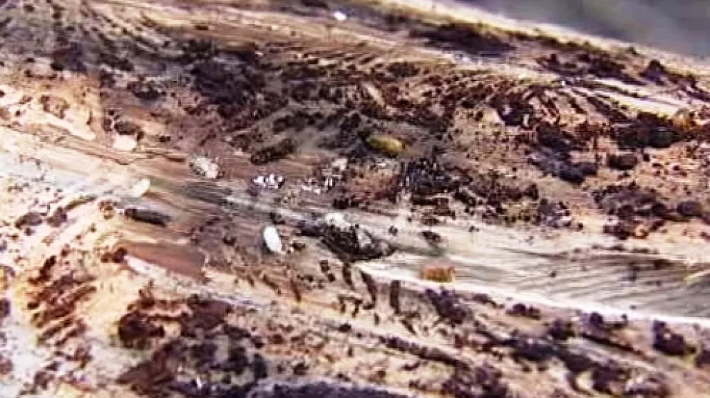 Kůrovci se na Šumavě postaví speciální tým — ČT24 — Česká televize