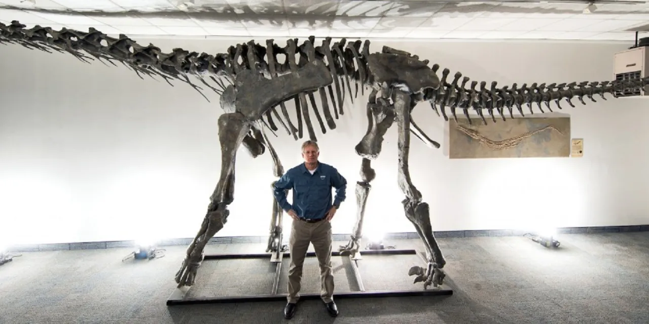 V Utahu objevili neznámého dinosaura. Dostal jméno Moabosaurus — ČT24 ...