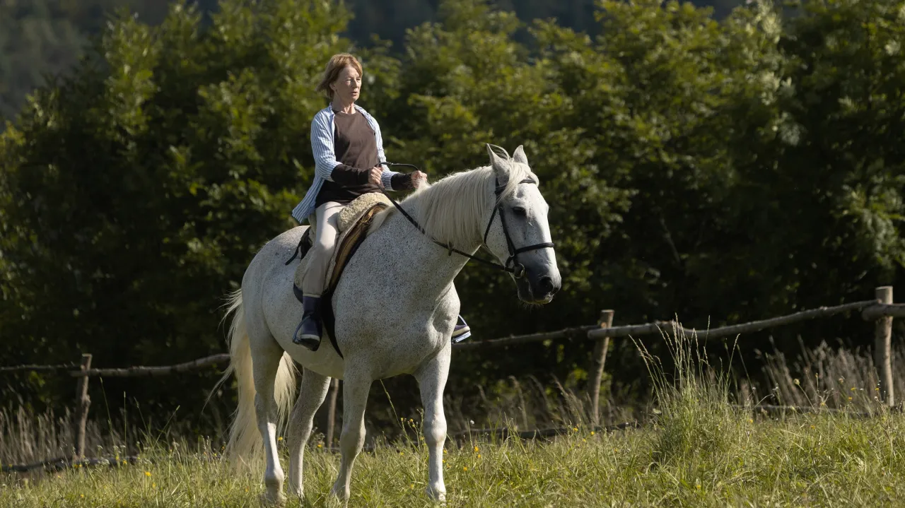 Alice Nellis posílá do kin koně jménem Buko se zprávou, že se lze ...