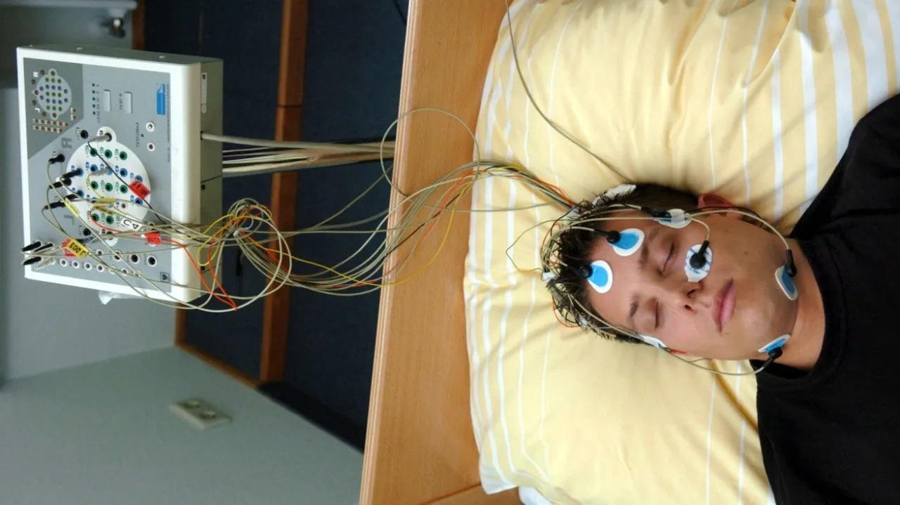 Lidé mají zřejmě obdobu zimního spánku. REM fáze v této době trvá déle ...