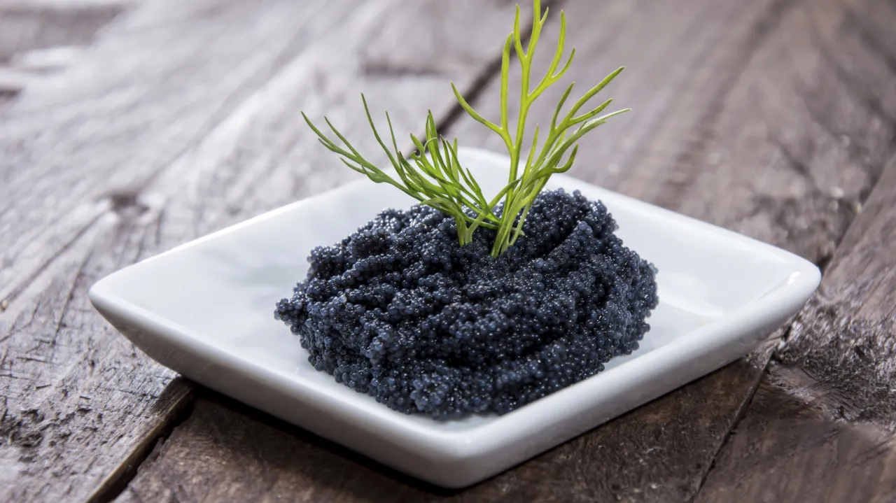 První tuzemský kaviár je z Českých Budějovic — ČT24 — Česká televize