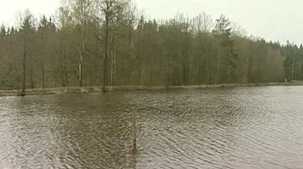 Blanický lihovar asi dál ničí rybník Lipka — ČT24 — Česká televize