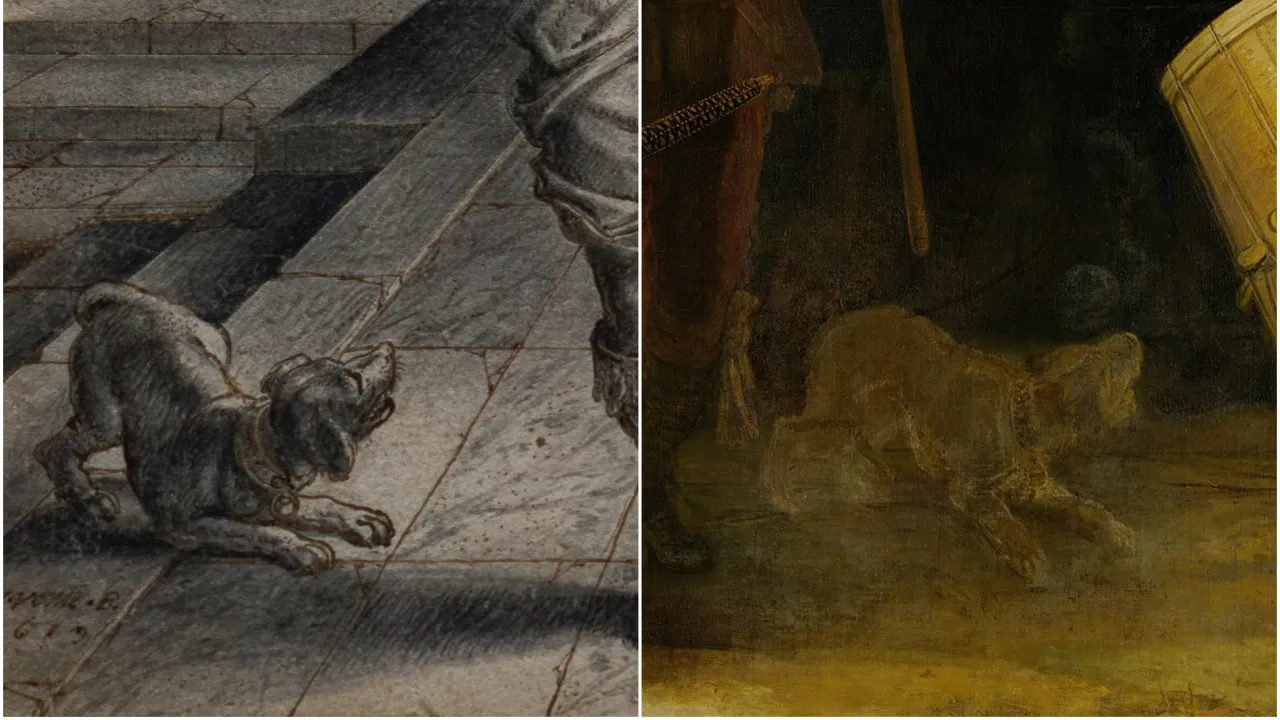Psa na Noční hlídce Rembrandt nakreslil podle díla jiného umělce — ČT24 ...