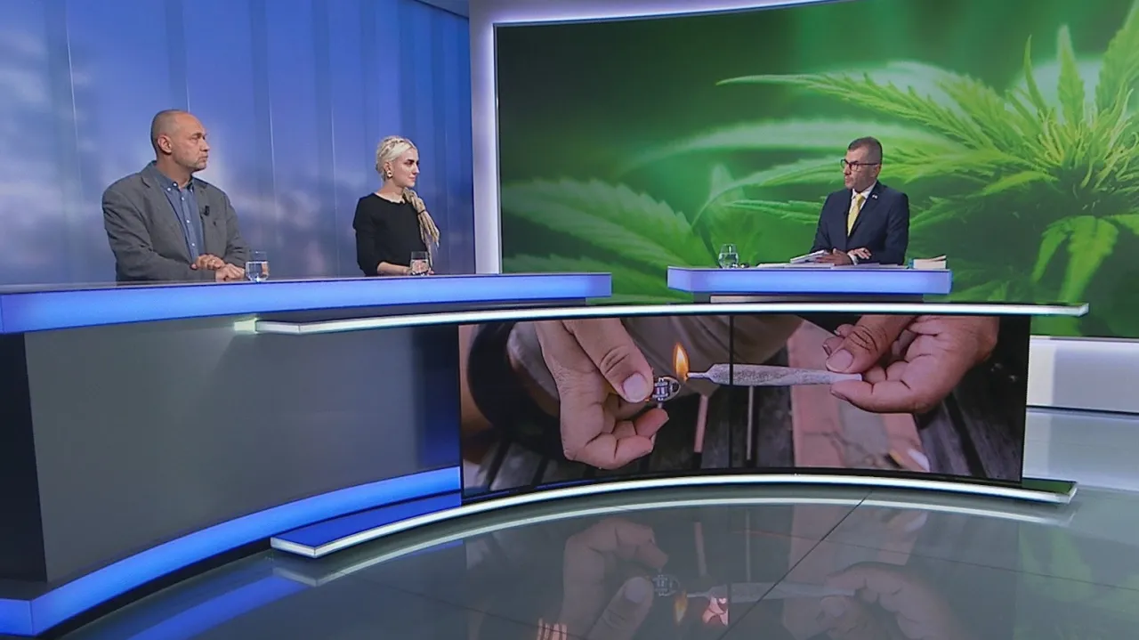 Legalizace konopí oslabí zločin, věří Michailidu. Jen málo, kontruje ...