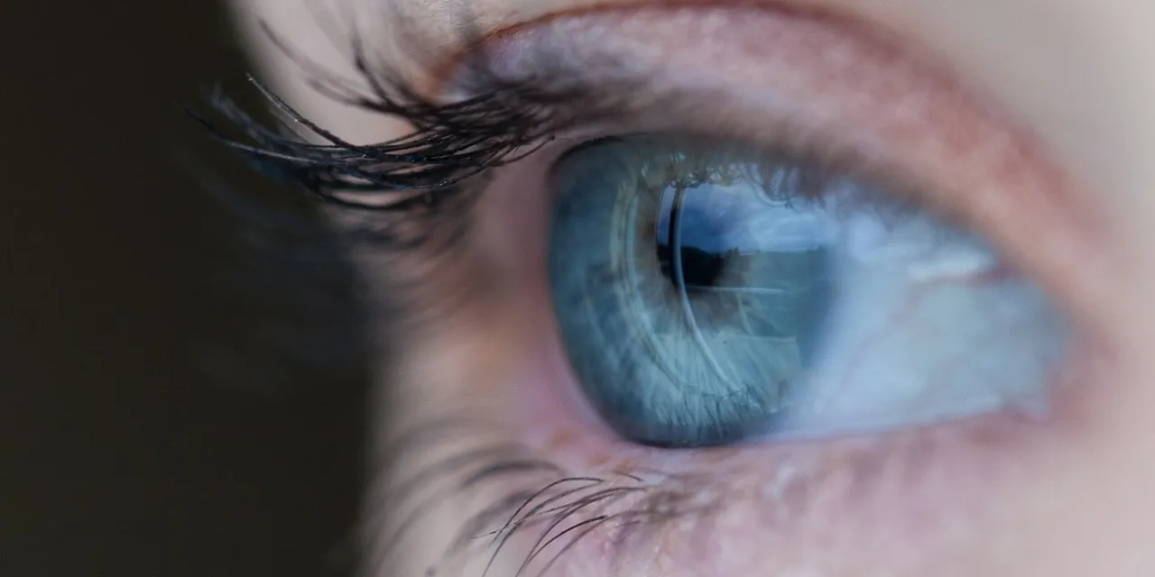 Lidské oko je jako fotoaparát se 137 megapixely. Ani nejlepší přístroj ...