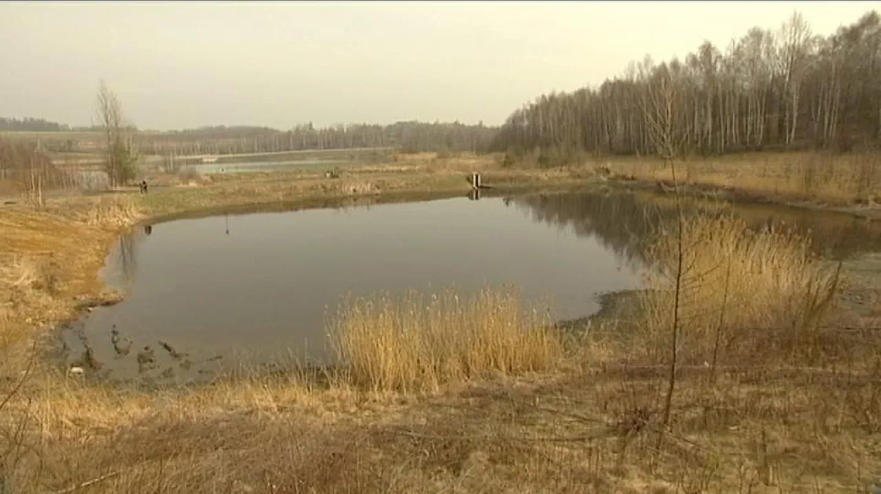 Ve Stonavě řádí bobři — ČT24 — Česká televize