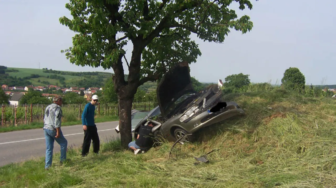 Havarované auto zničilo vinný sklep — ČT24 — Česká televize
