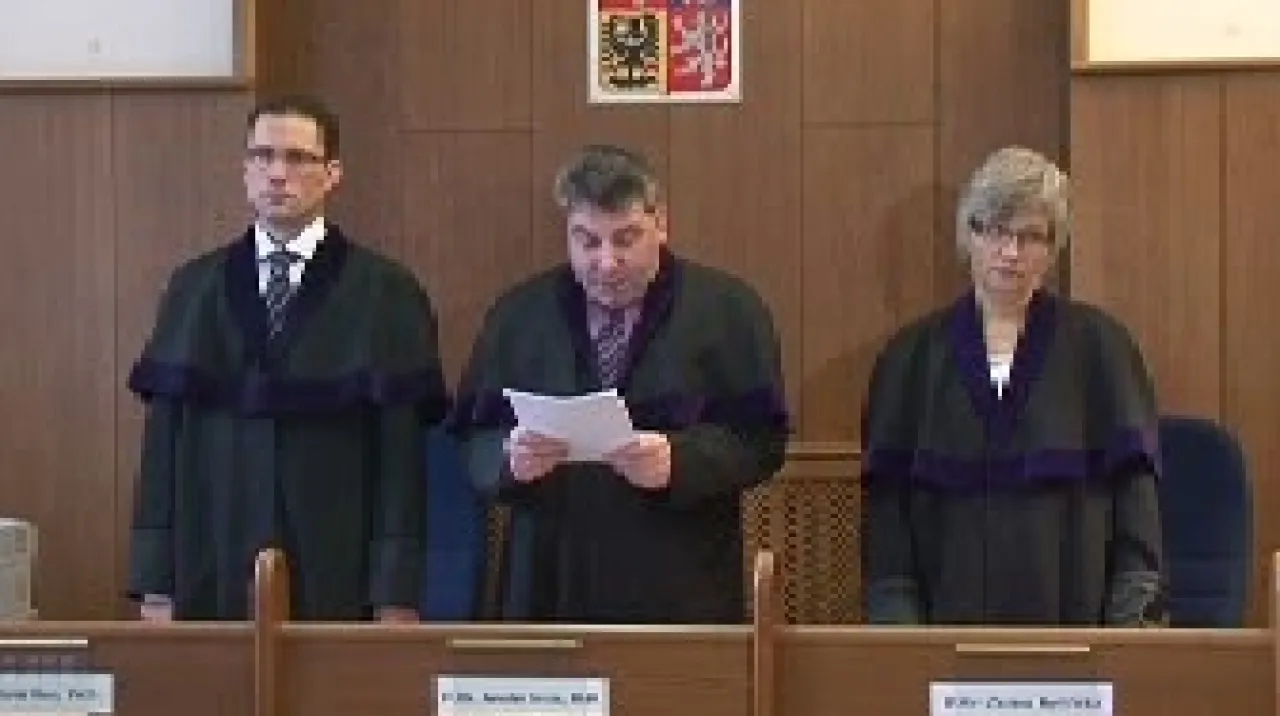 Podle soudu mají Lesy ČR vyhlašovat výběrová řízení — ČT24 — Česká televize