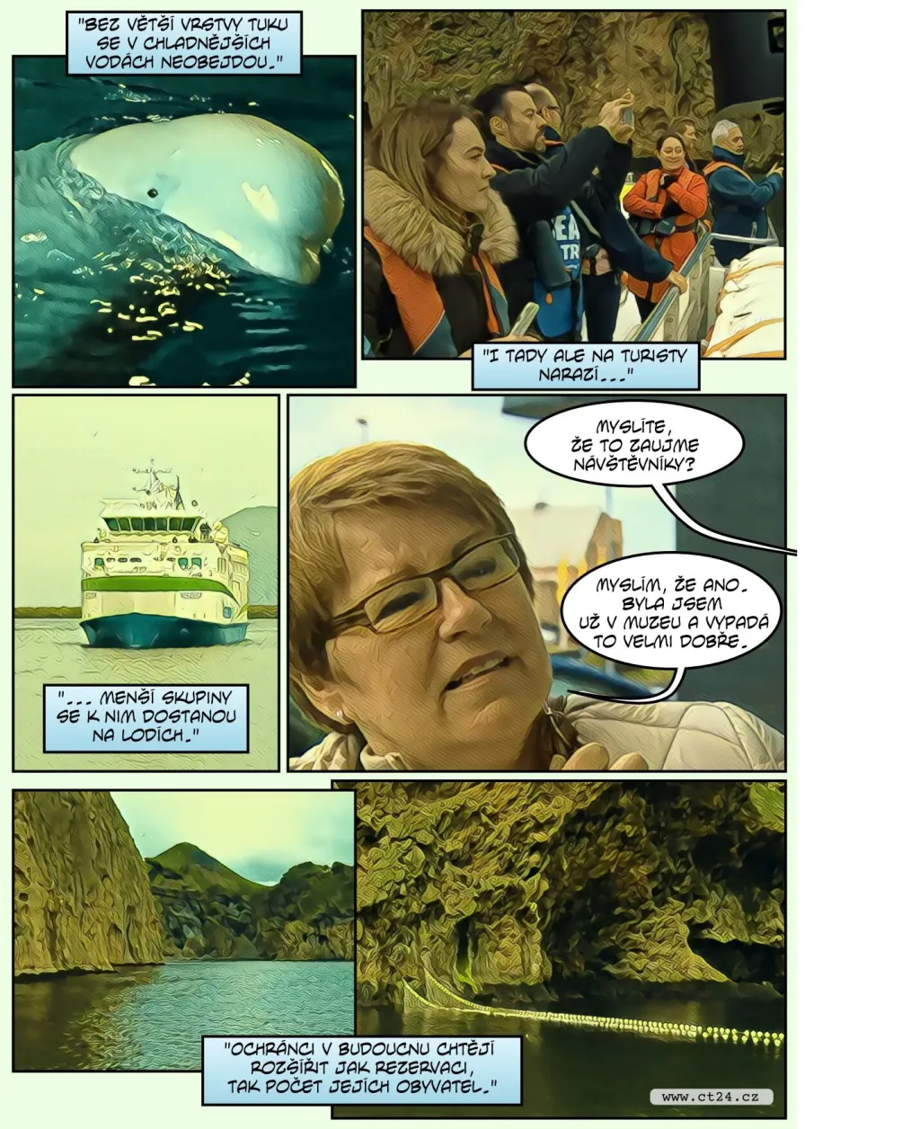 Bílé velryby z čínského zábavního parku se vrátily do volné přírody na ...