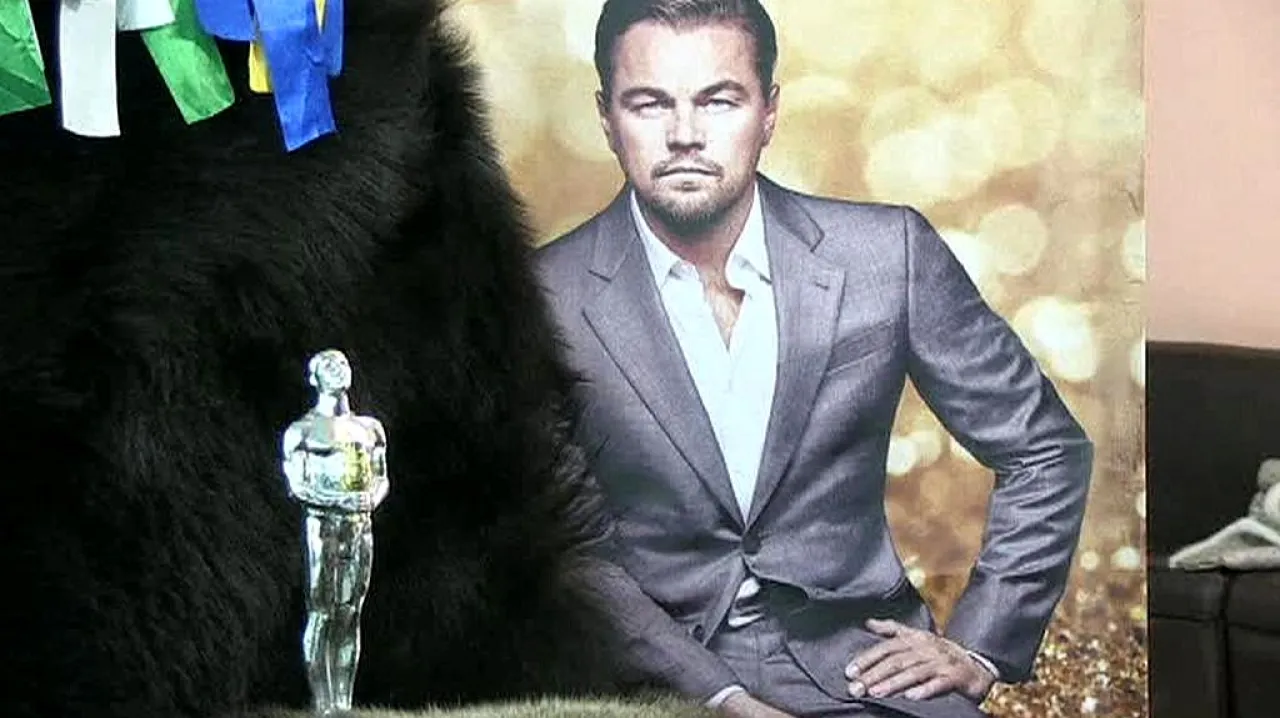 DiCaprio má fandy i na Sibiři. Věnují mu vlastního Oscara — ČT24 ...