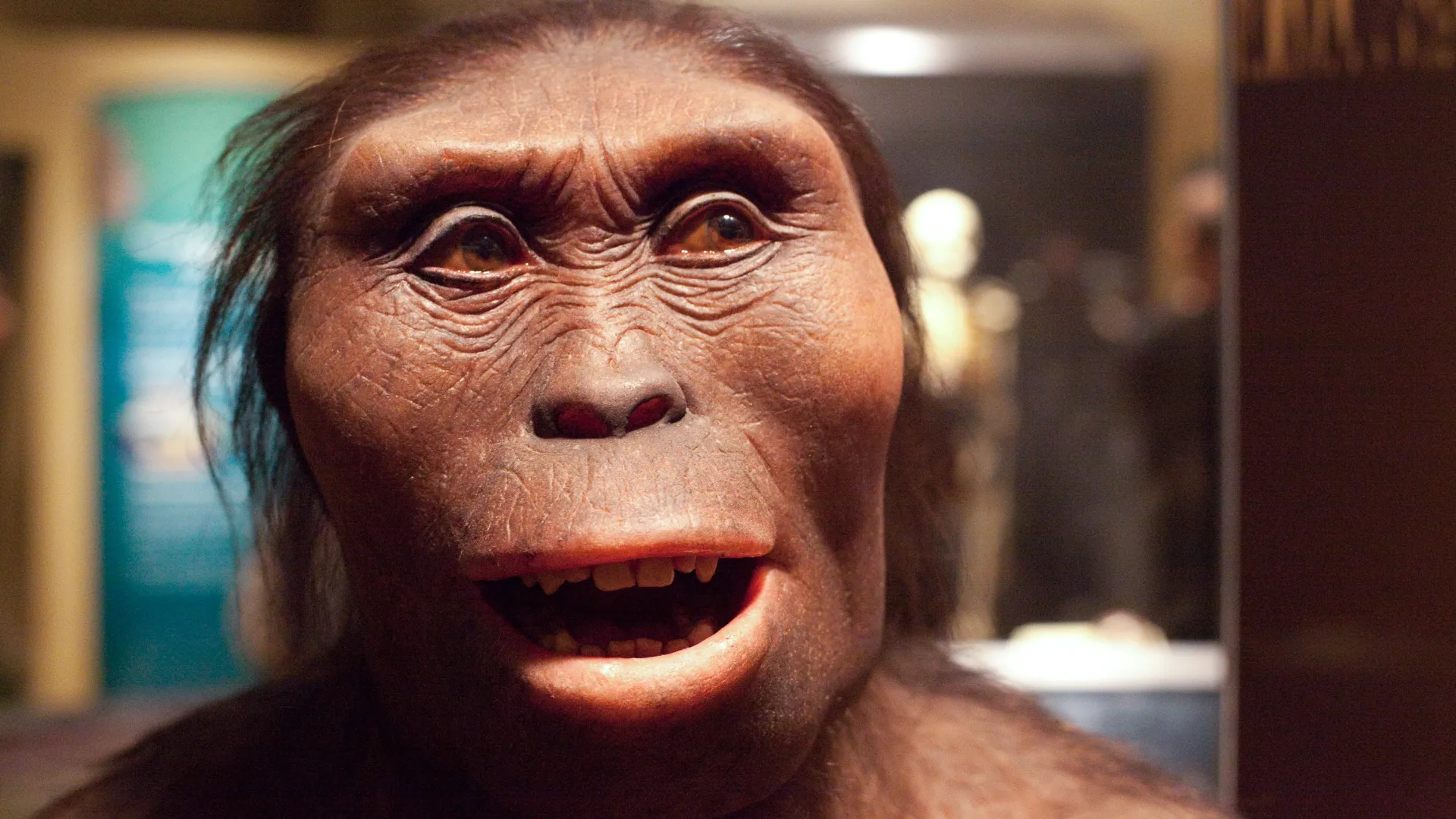 Nejslavnější kostra světa přiletí do Prahy. Národní muzeum vystaví ...