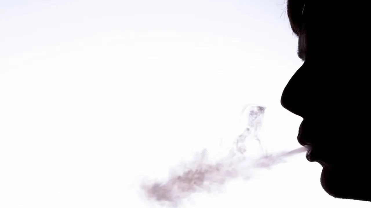 Napište do Bruselu, vybízejí tabákové firmy kvůli zákazu mentolek ...