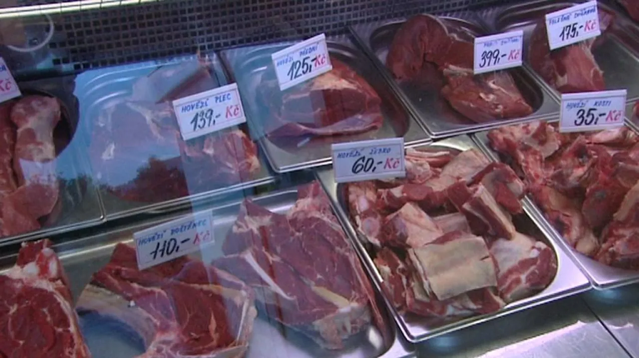 Hami n ezn k Z Rychnovska Okr dal Farm e T24 esk Televize Hami n ezn k Z Rychnovska Okr dal Farm e T24 esk Televize