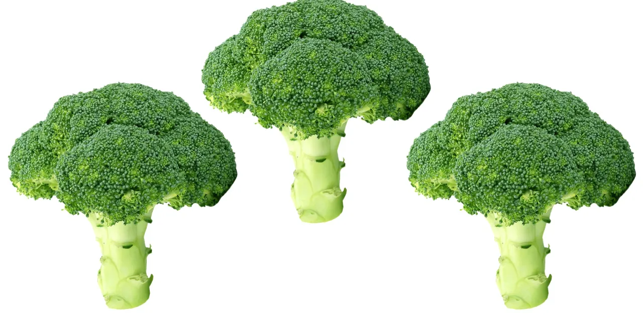 Jazykovědci našli trik, jak donutit děti jíst brokolici místo čokolády ...