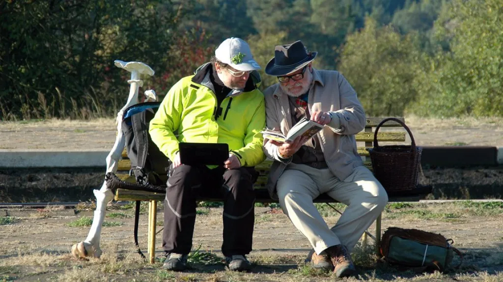 Na houby se dá vyrazit i prostřednictvím televizní obrazovky — ČT24 ...