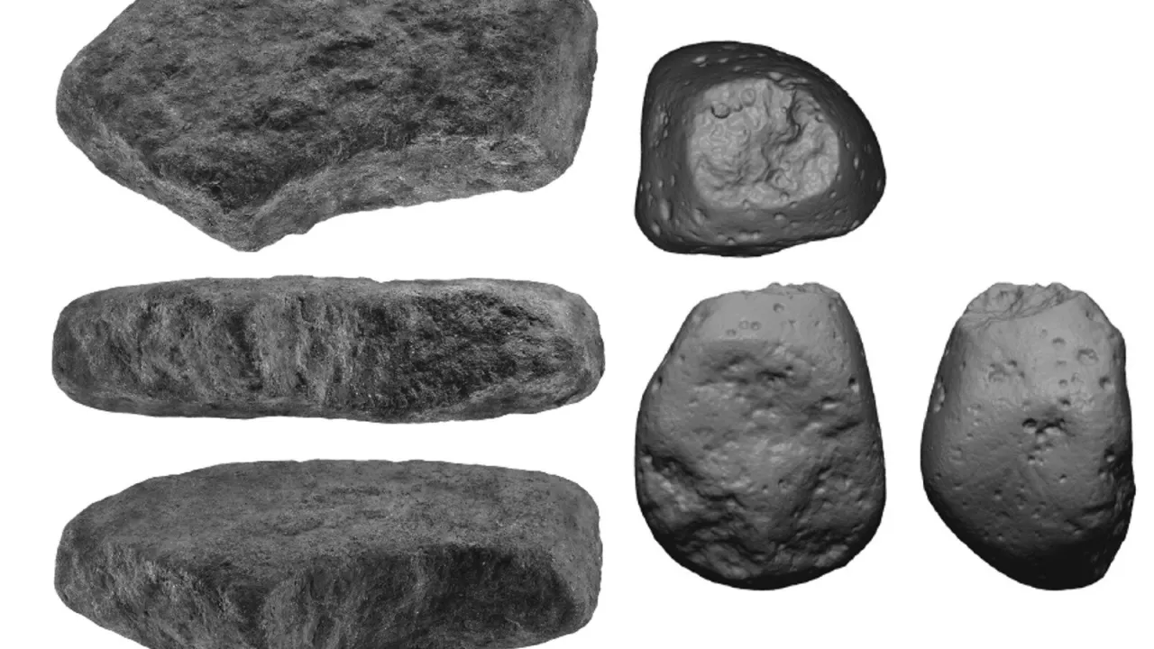 Lidé v paleolitu se neživili paleo dietou. Jedli třeba stulíky — ČT24 ...